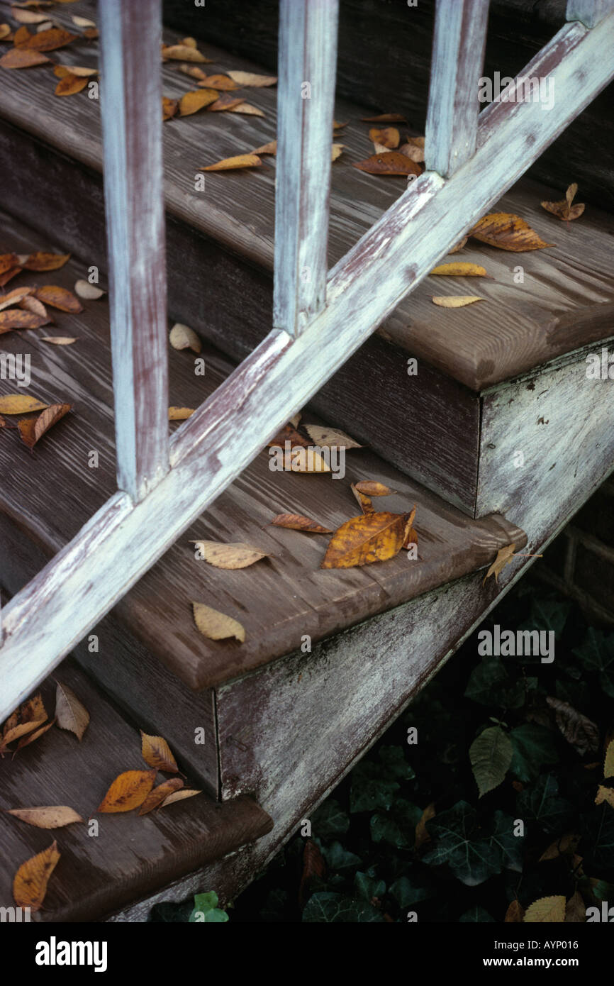 Autumn leaves on outdoor wooden steps Stock Photo - Alamy
