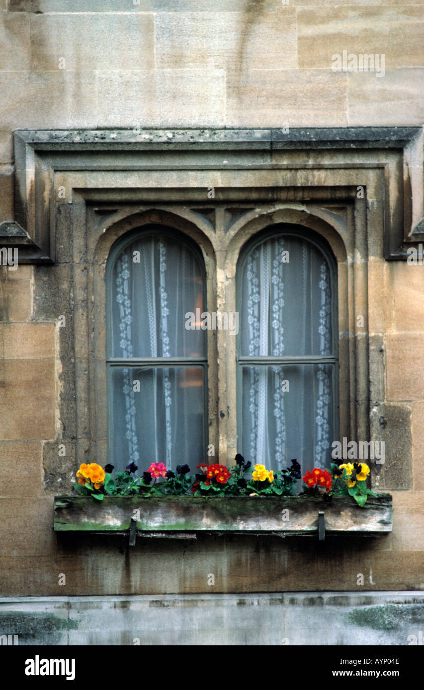 Architectural detail window flower boxes stone house Europe Stock Photo ...