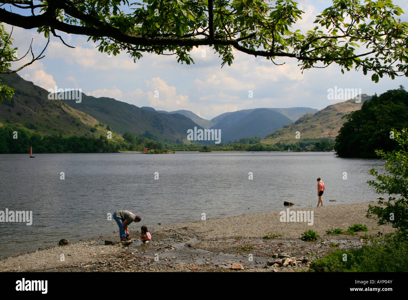 ullswater summer lake district cumbria england uk Stock Photo - Alamy
