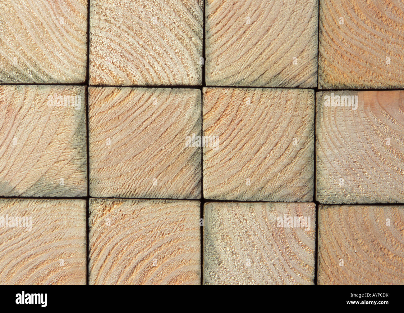 The ends of square cut wood Stock Photo - Alamy