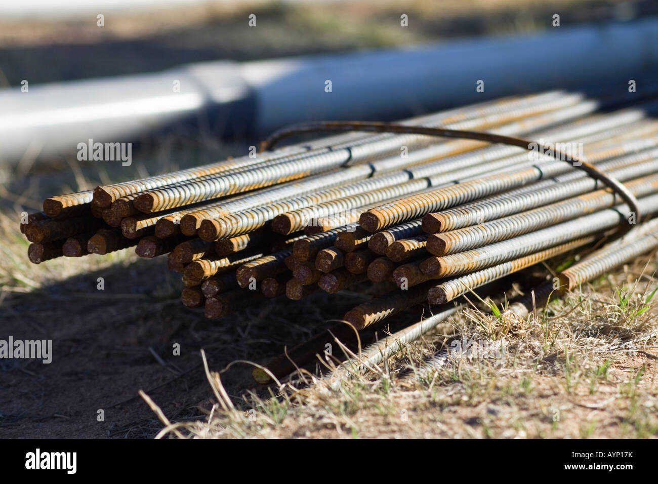 Bundle of steel reinforcing bars (rebars Stock Photo - Alamy