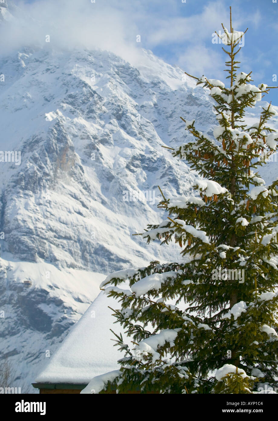 Grindelwald switzerland christmas hi-res stock photography and images ...