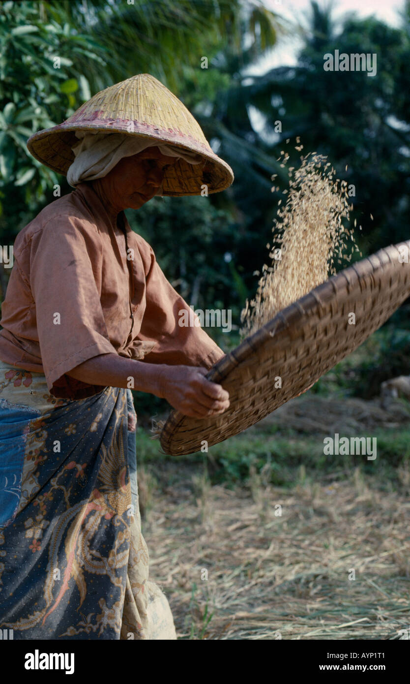 Woman sifting rice hi-res stock photography and images - Alamy