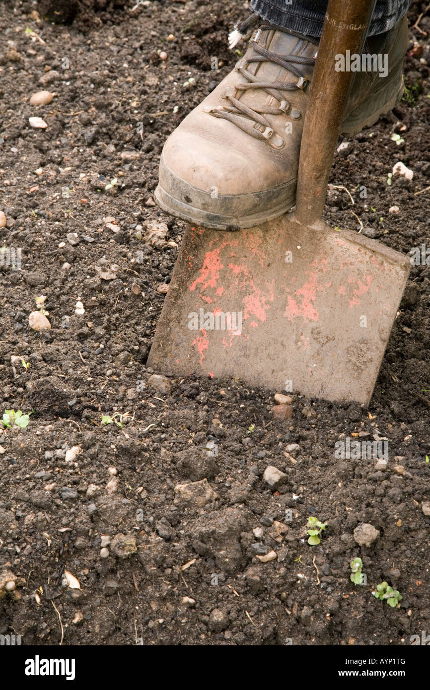 Spade soil hi-res stock photography and images - Alamy