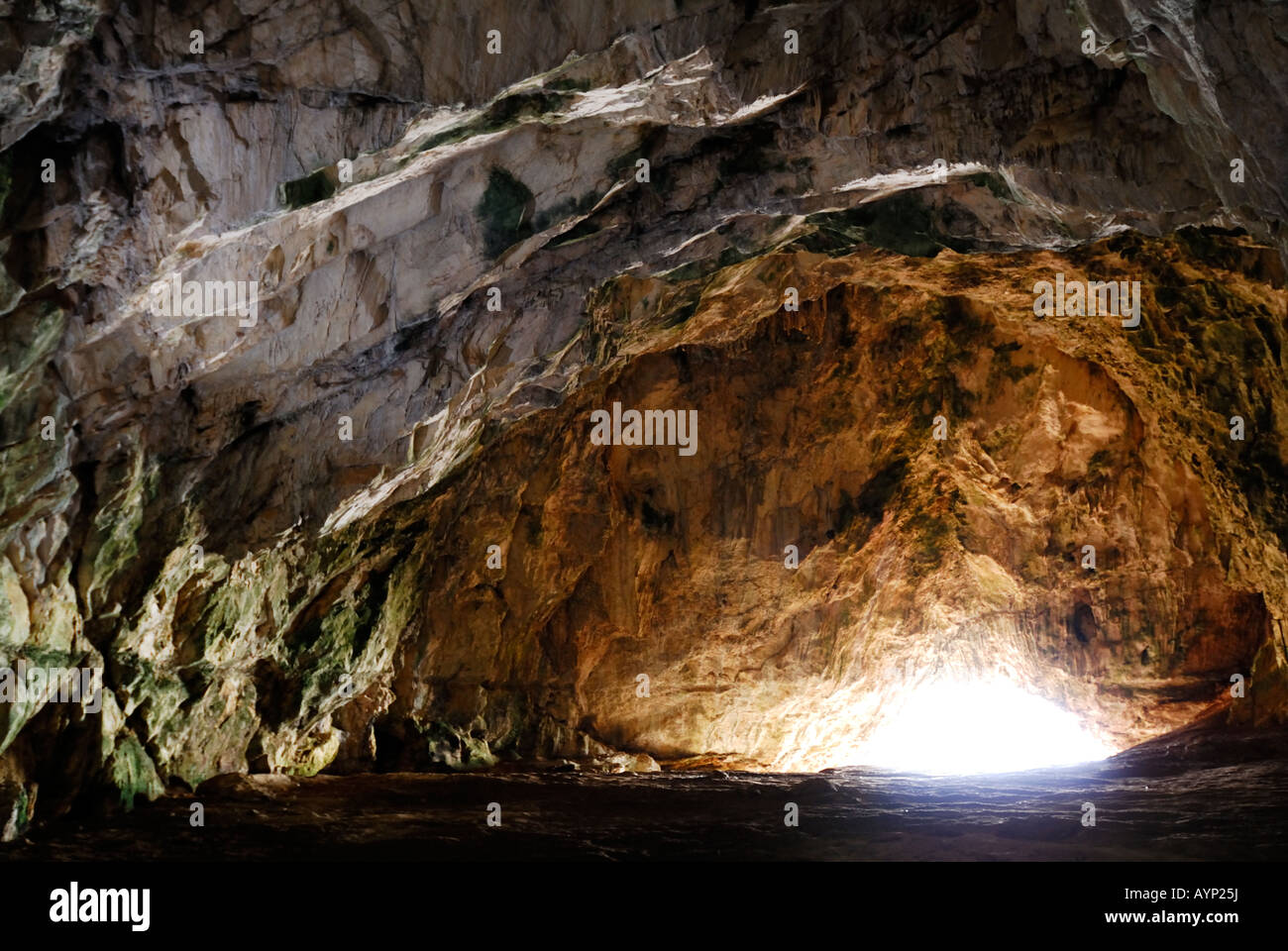 Prehistoric goats hi-res stock photography and images - Alamy