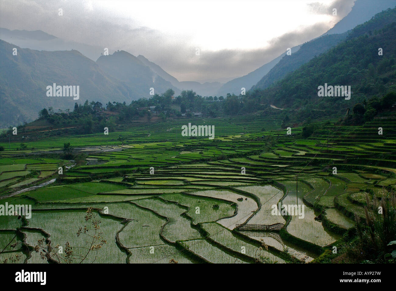 Sapa Rice Terraces Stock Photo - Alamy