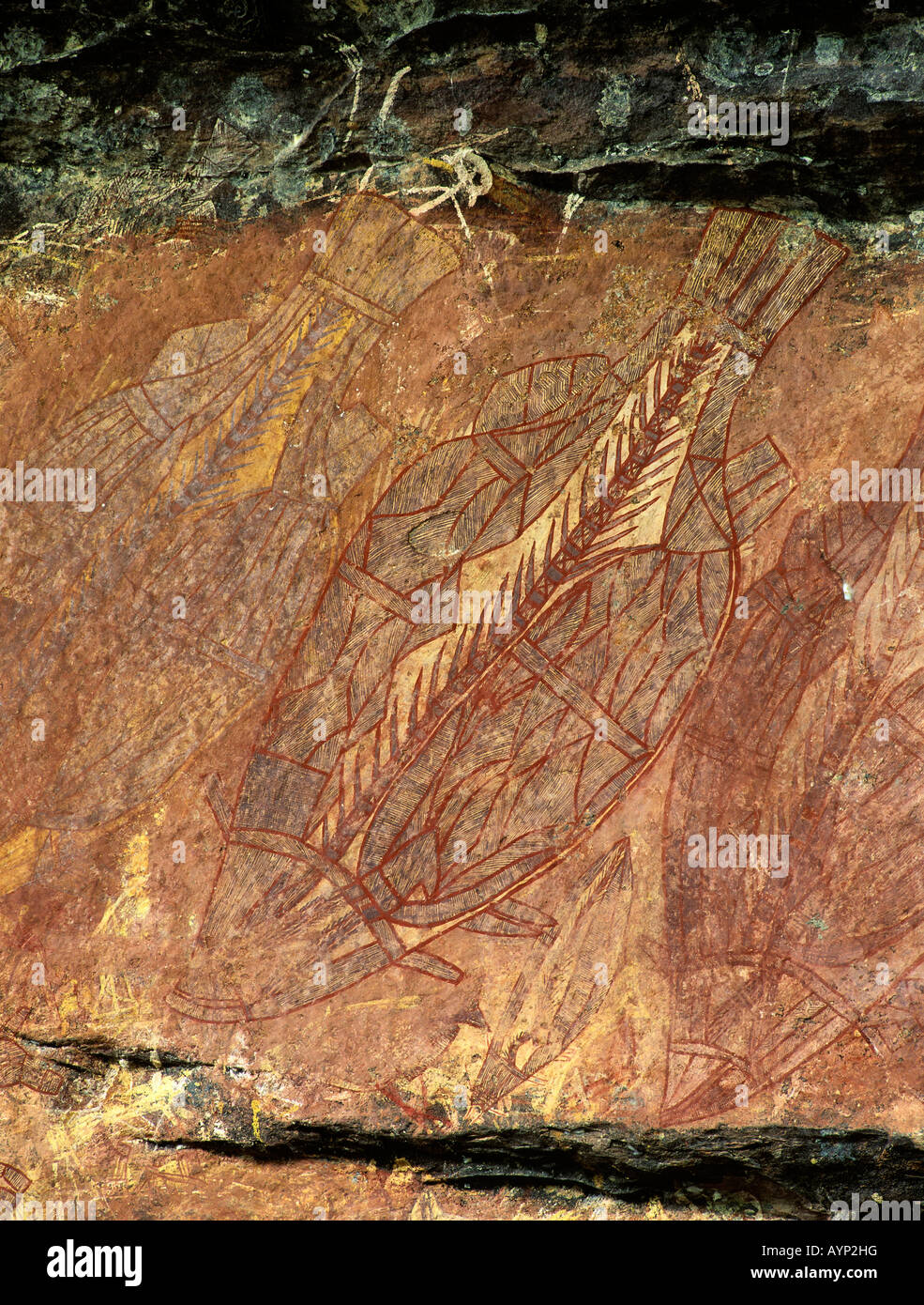 Australia aboriginal rock art x ray hi-res stock photography and images - Alamy