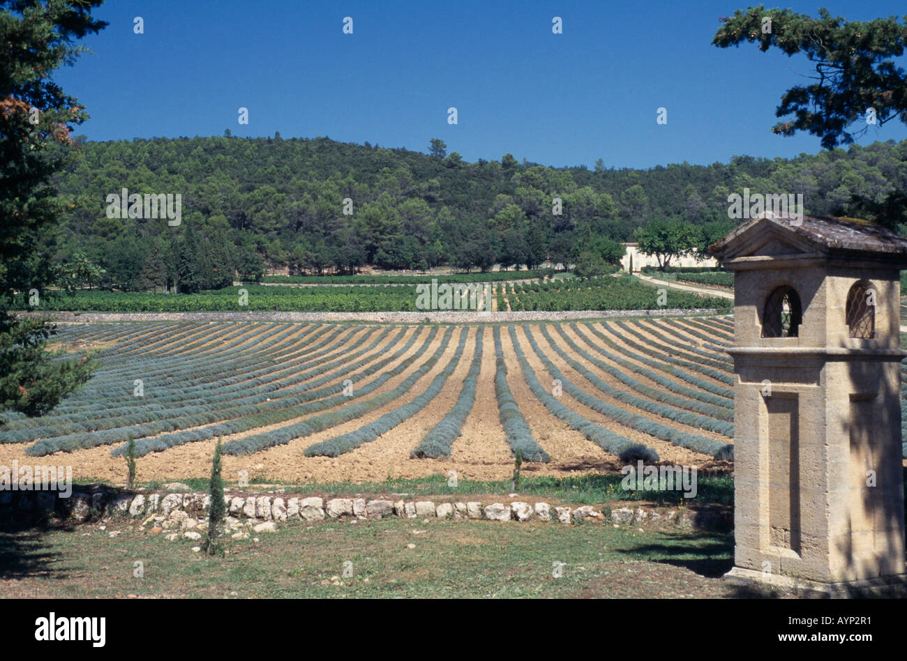 St maximin provence hi-res stock photography and images - Alamy