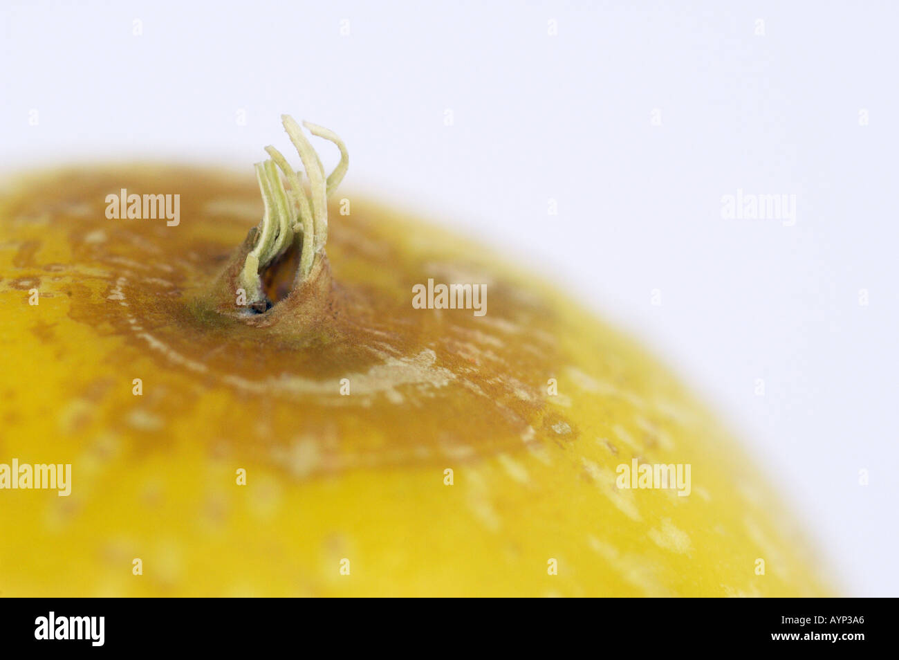 Passion fruit rind hi-res stock photography and images - Alamy