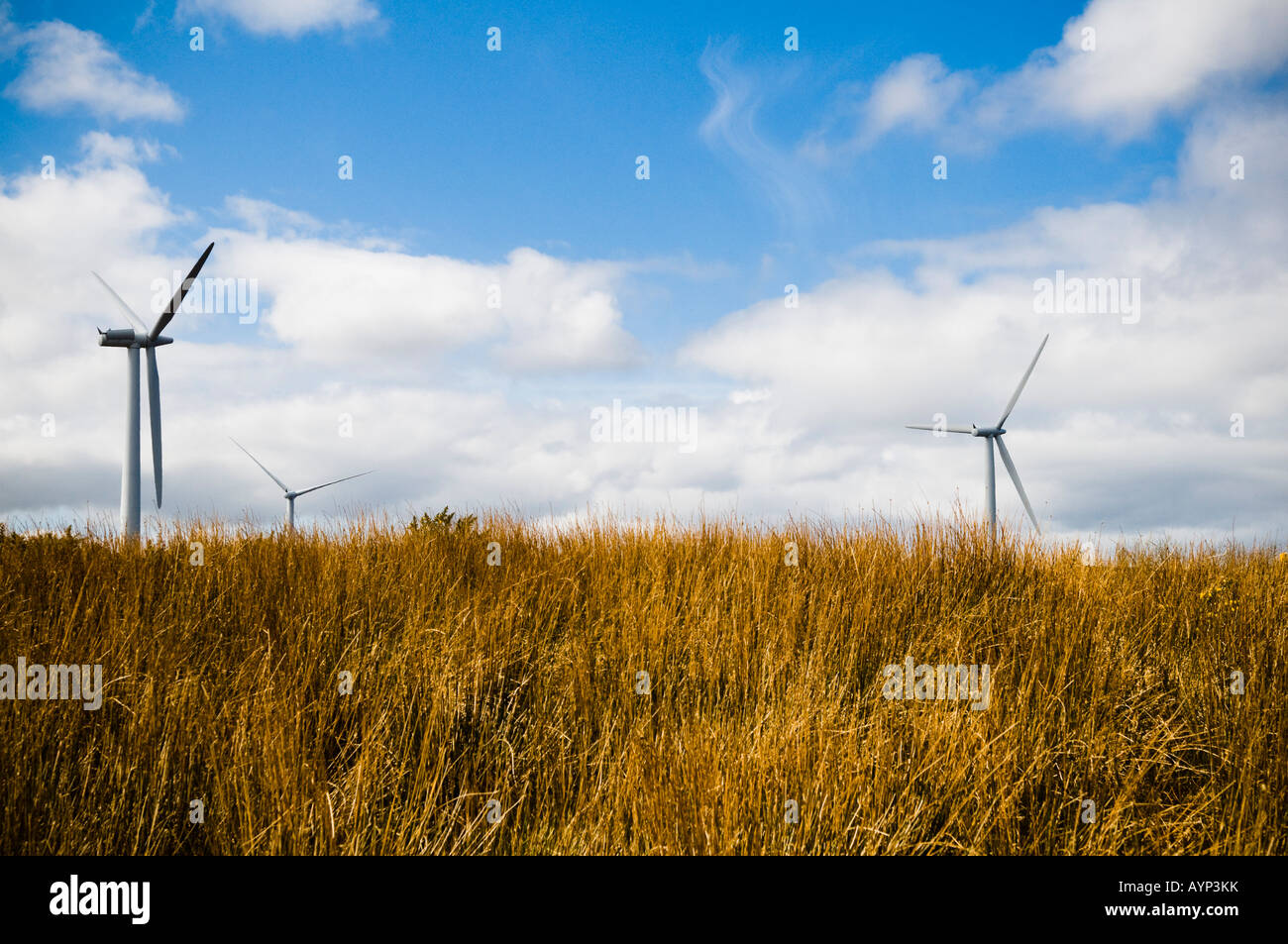 Altahullion wind farm in County Londonderry Stock Photo - Alamy
