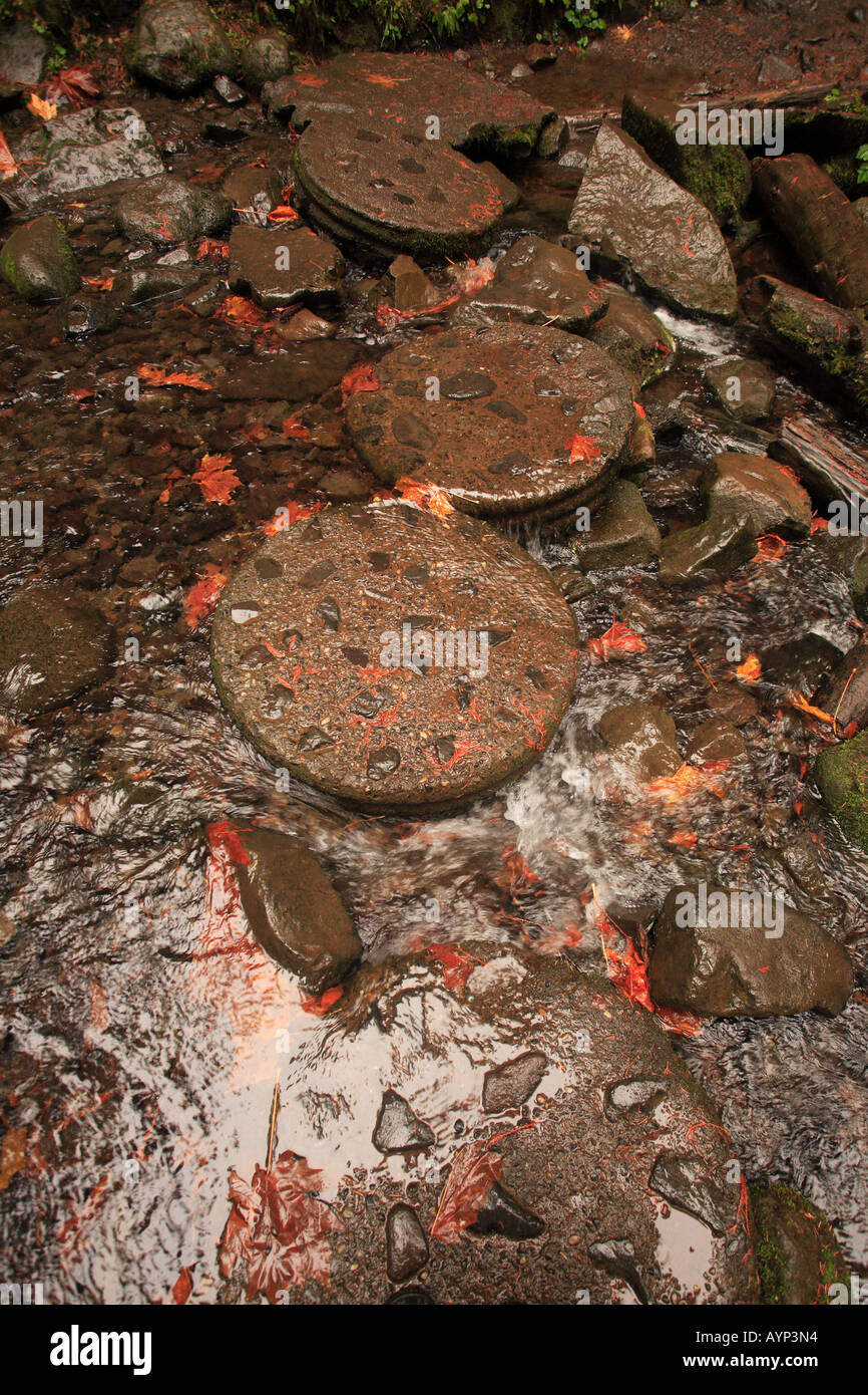 concrete footholds form a trail across a pacific northwest stream Stock ...