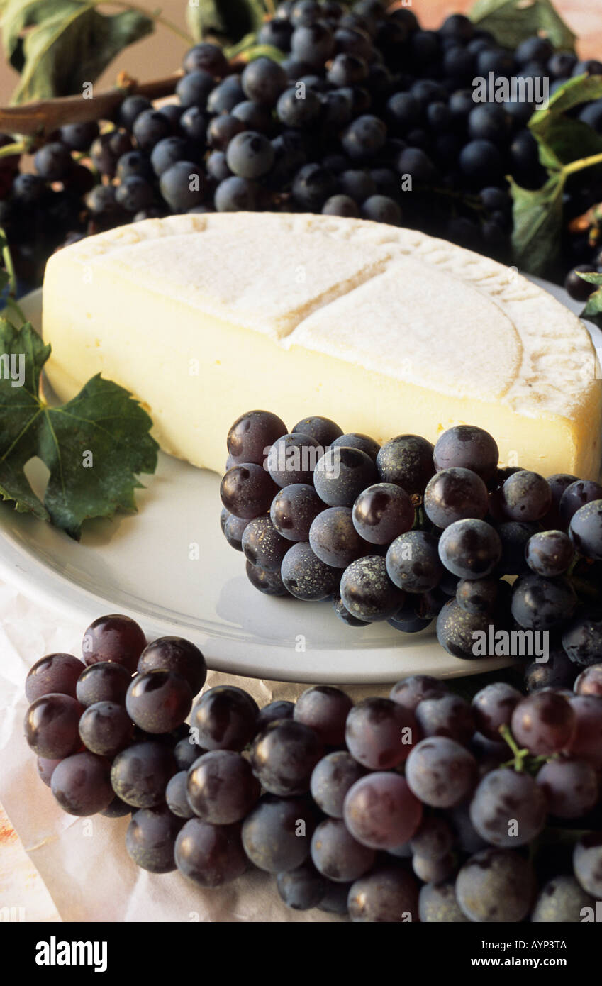 Tremosine cheese and Gropello grapes Lago di Garda Stock Photo - Alamy