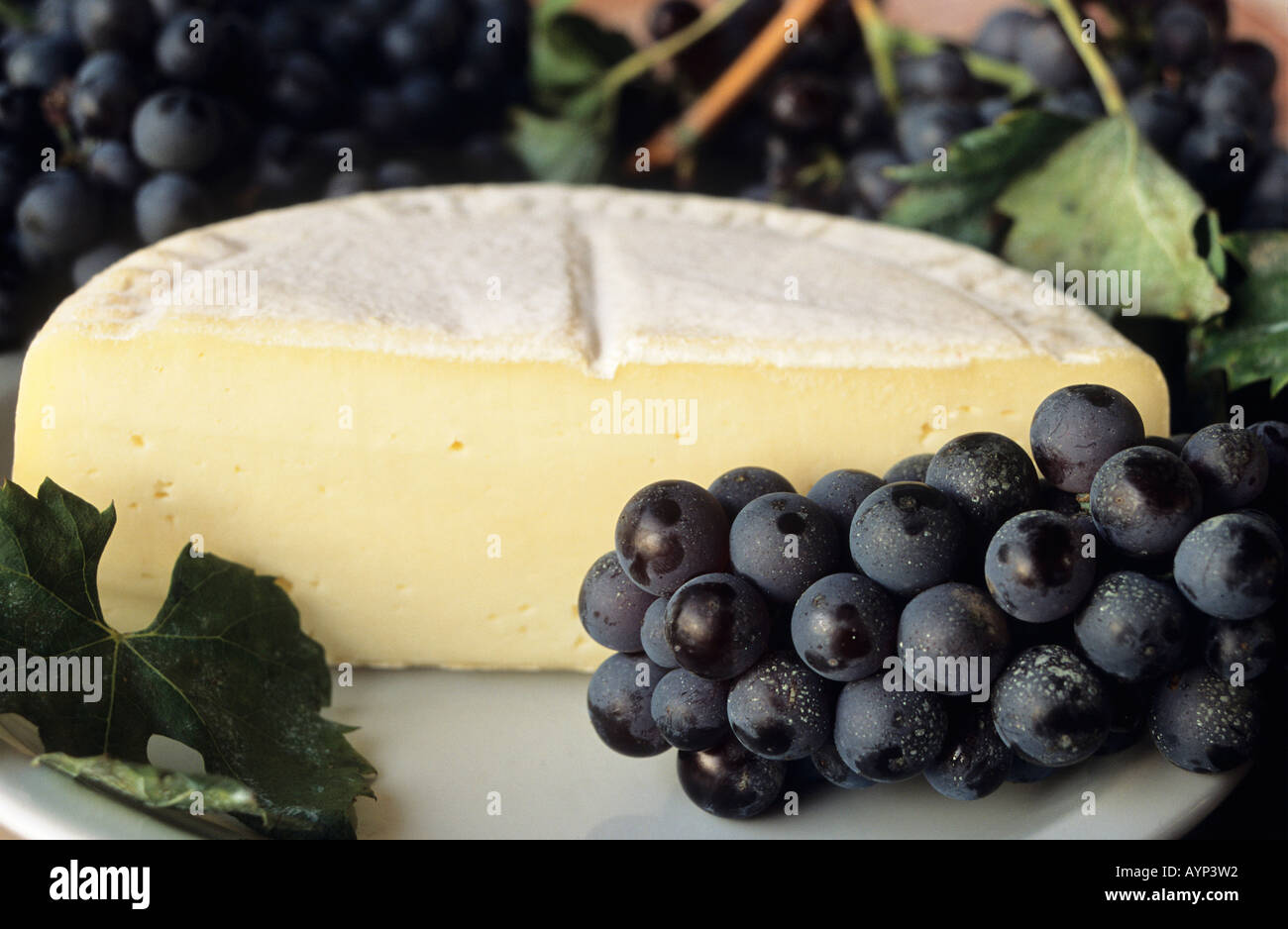 Tremosine cheese and Gropello grapes Lago di Garda Stock Photo - Alamy