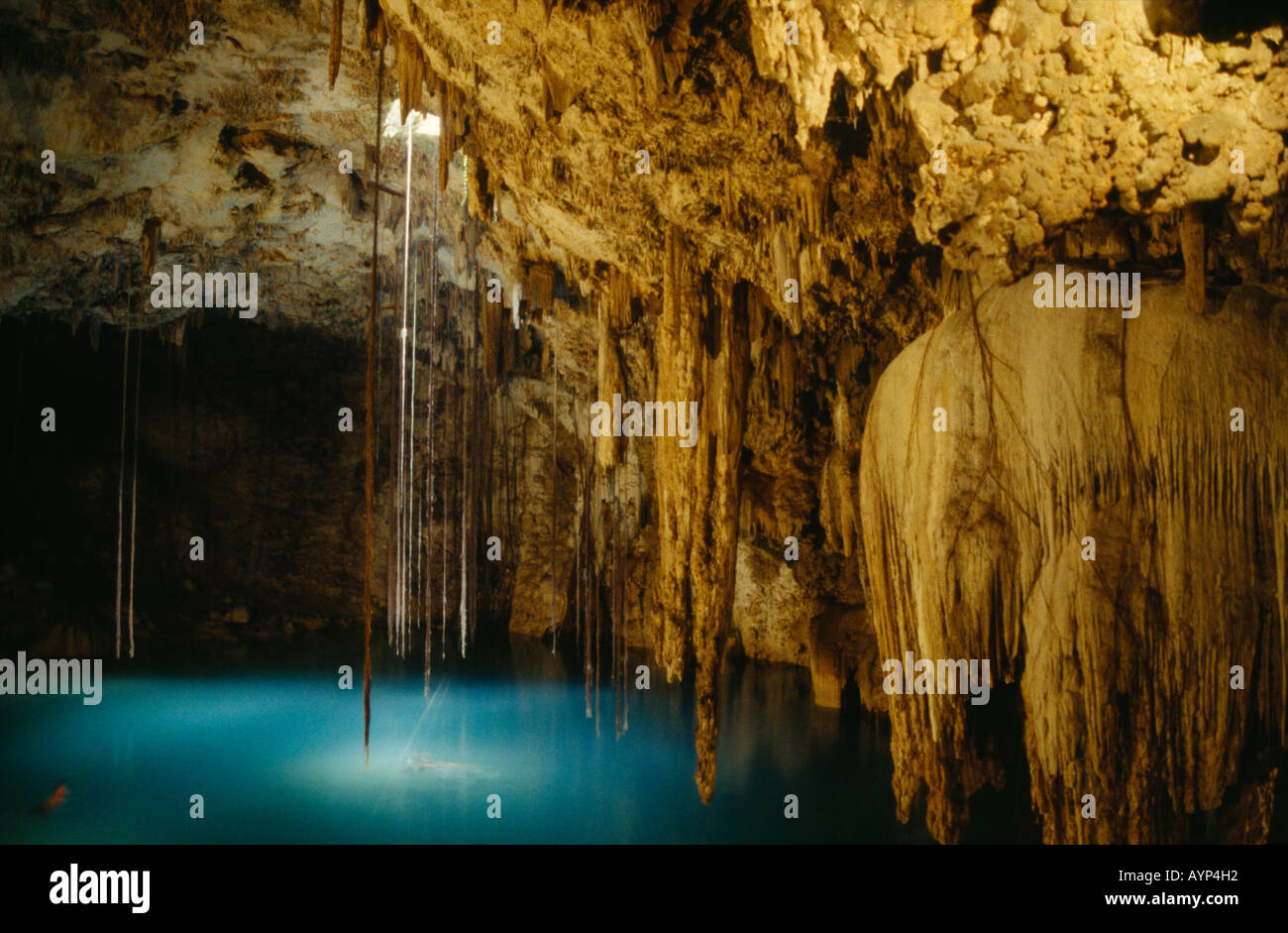 Underground cave cenote stalactites mexico hi-res stock photography and ...