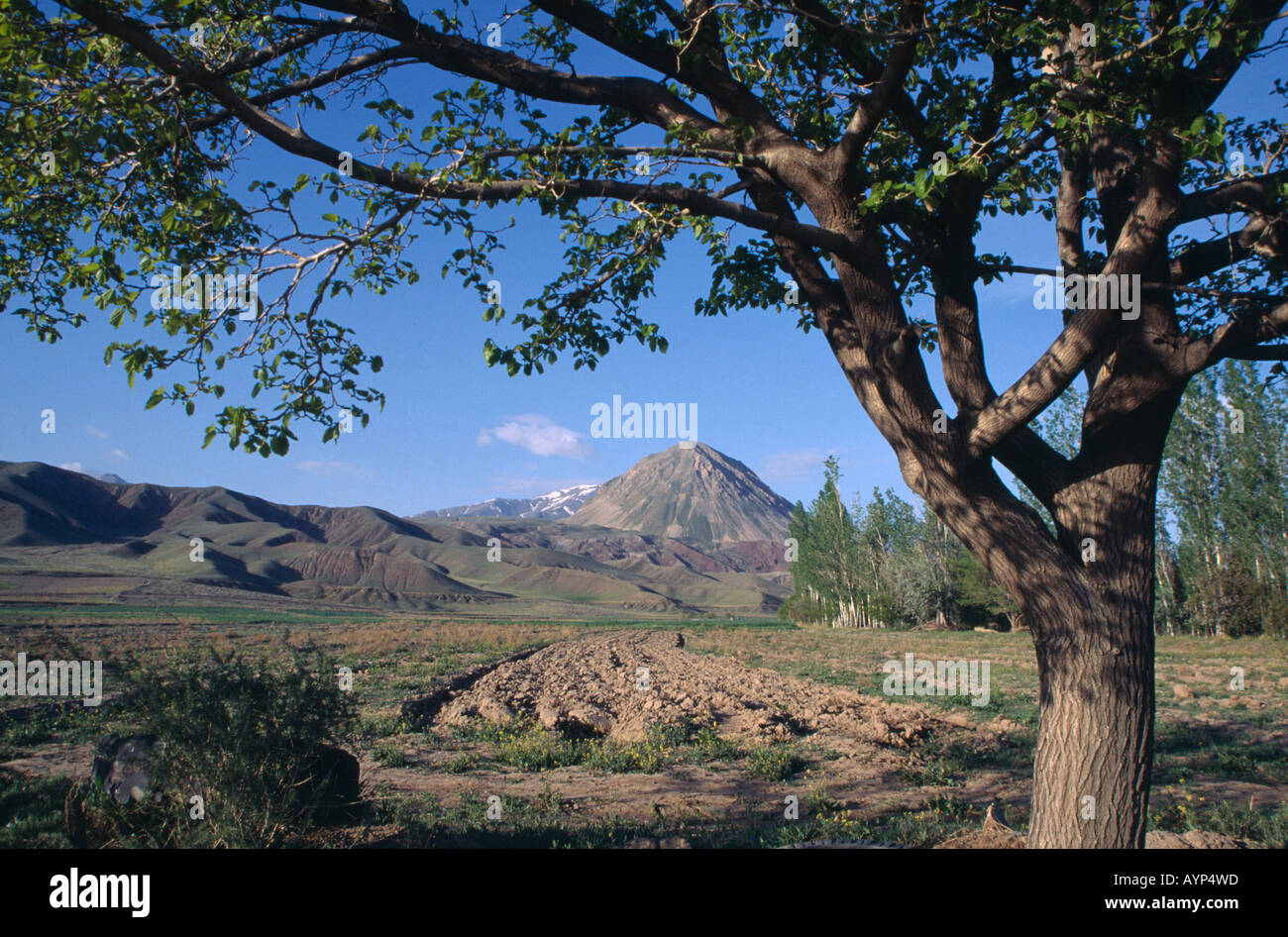 Iran flora fauna hi-res stock photography and images - Alamy