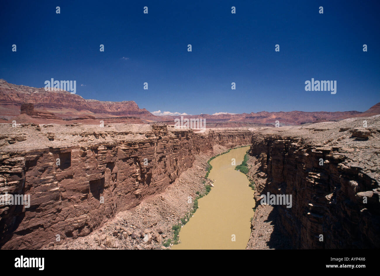 Arizona colorado river from navajo bridge hi-res stock photography and ...