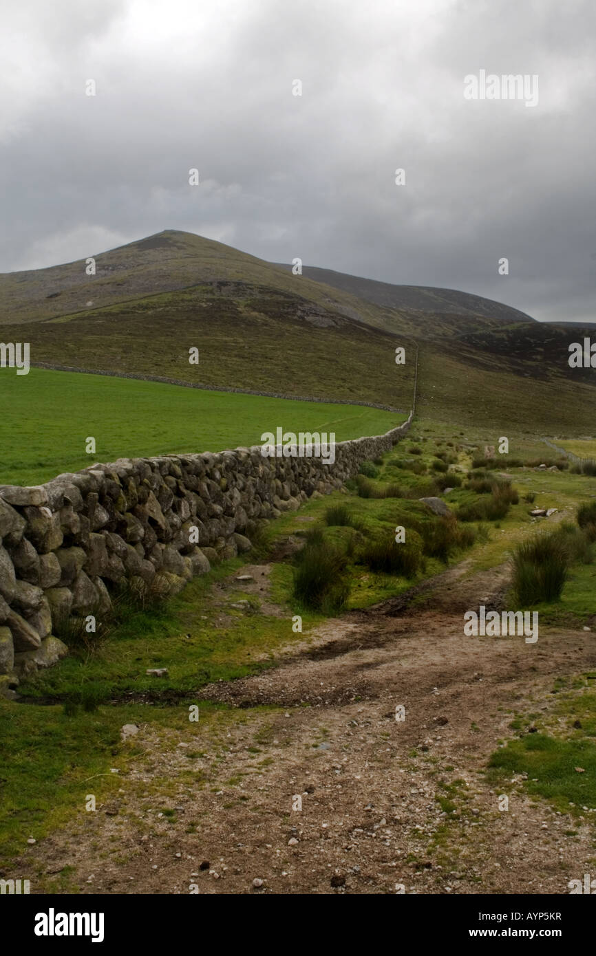 Mountains of mourne stone dyke / wall Stock Photo - Alamy