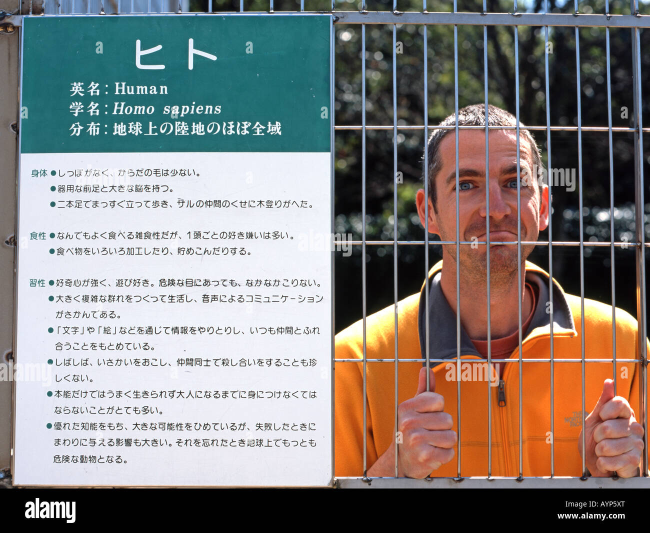 Japan humour hi-res stock photography and images - Alamy