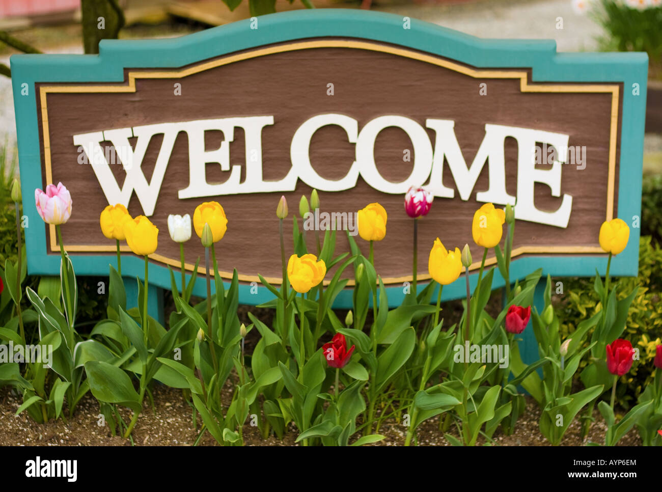 Welcome sign outside Tulip and Daffodil Farm Stock Photo - Alamy