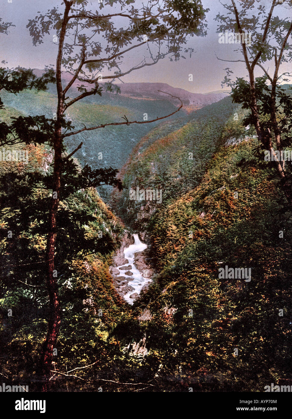 Mynach Falls on the Afon Rheidol river below Devils Bridge Stock Photo ...