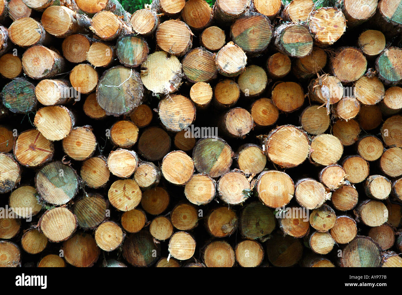 Wood ready for transport hi-res stock photography and images - Alamy