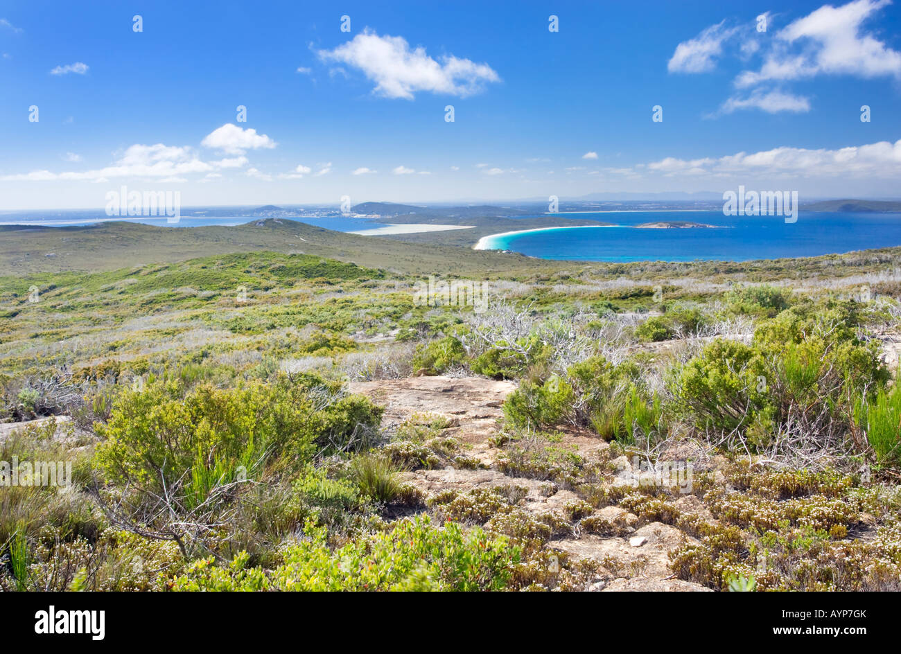 Albany, Western Australia. Coastal vegetation on Vancouver Peninsula ...