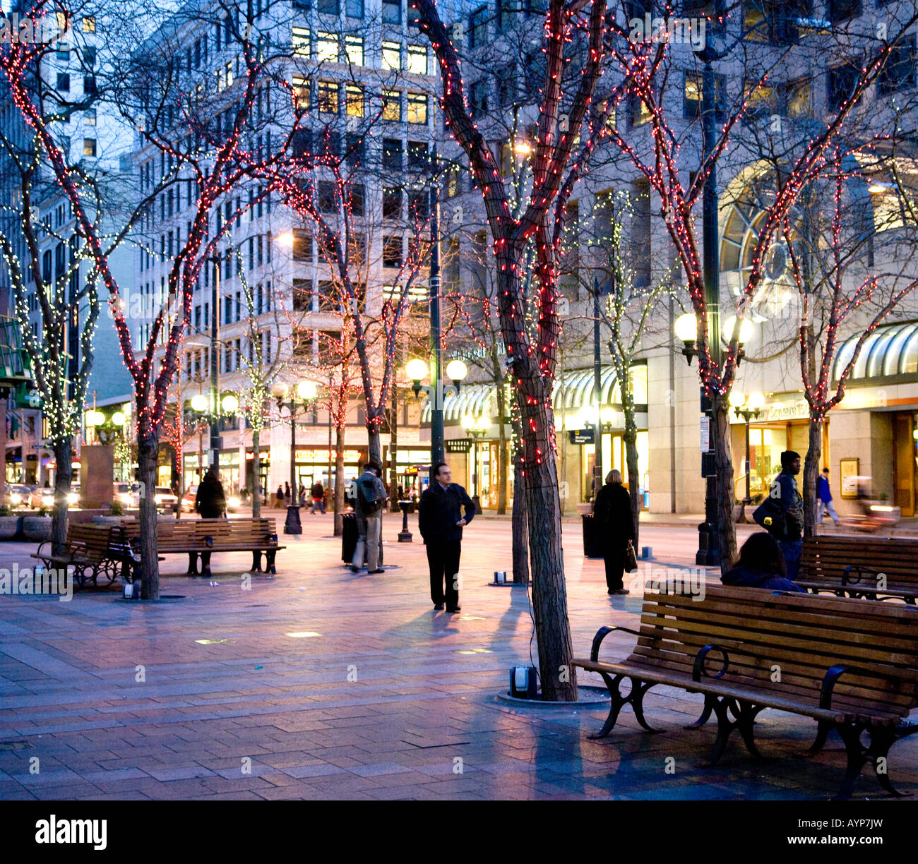 Seattle Washington State USA Tree lights at night near Westlake Center ...