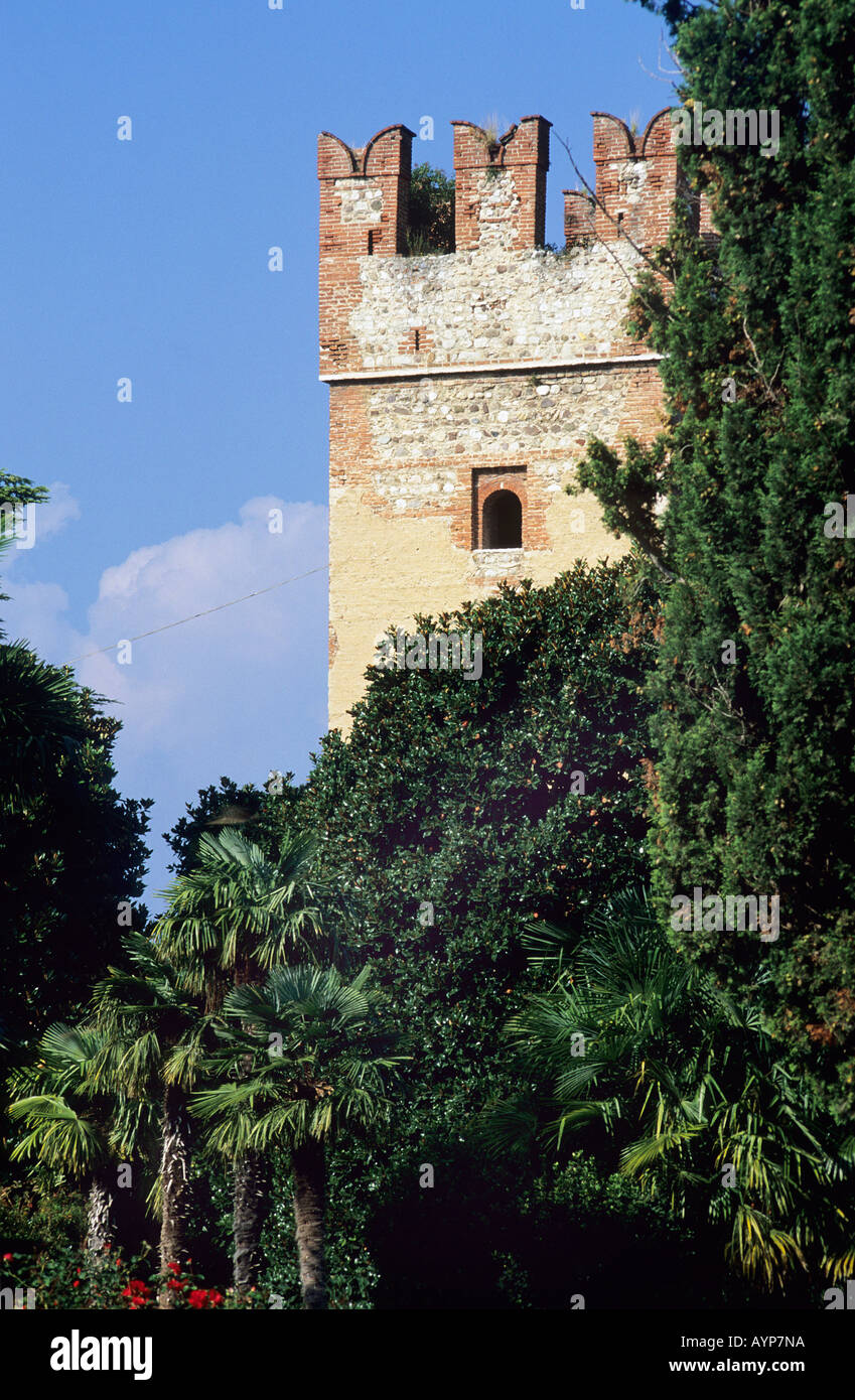 The tower of Scaligeri castle with fish tail battlements seen through ...