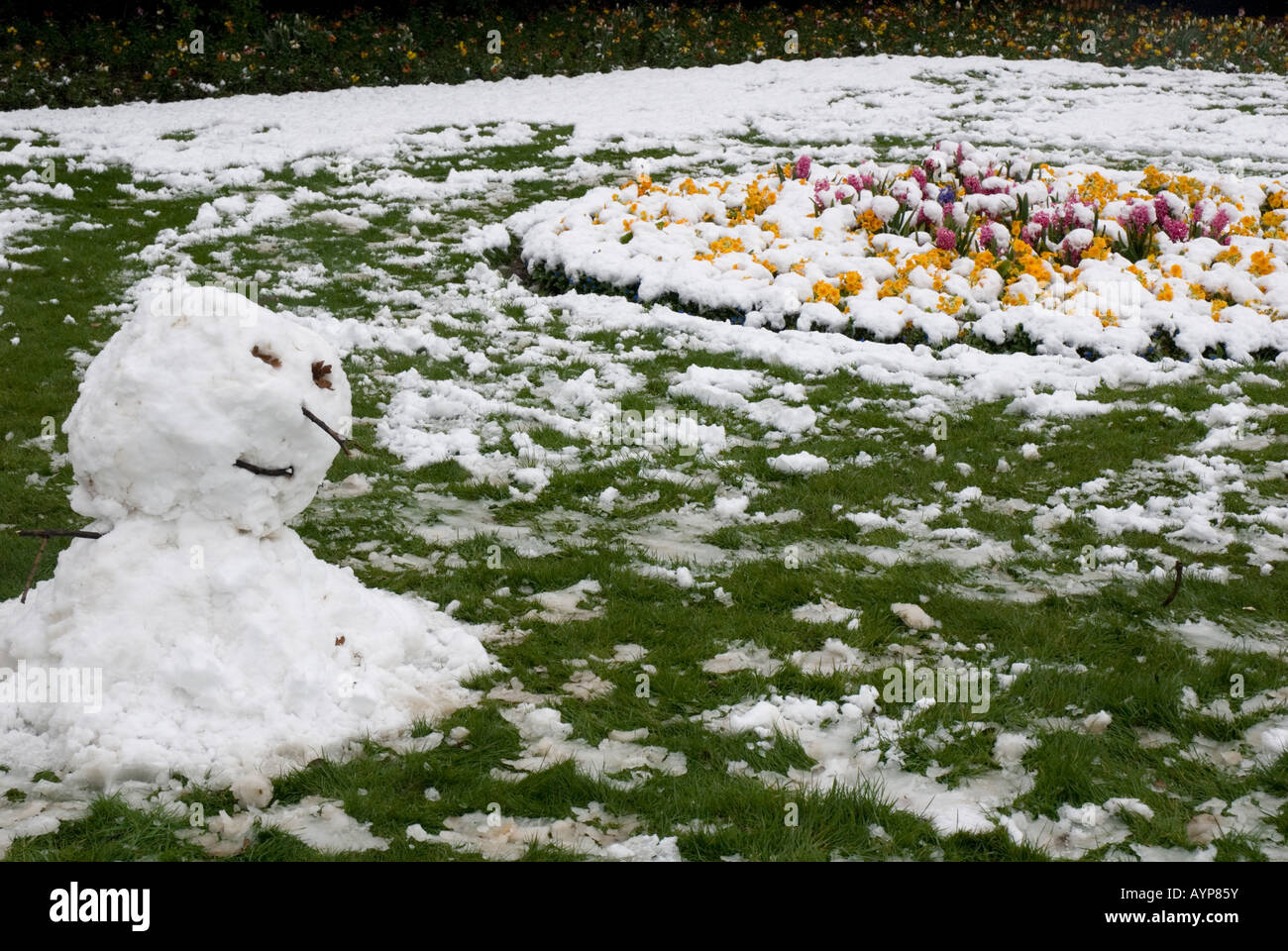 Springfield park hi-res stock photography and images - Alamy