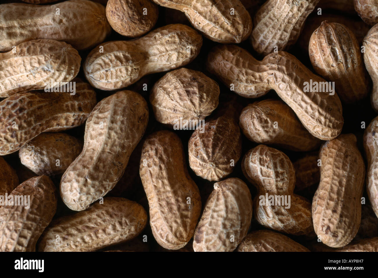 FOOD Groundnuts Nuts Peanuts in shells Stock Photo - Alamy
