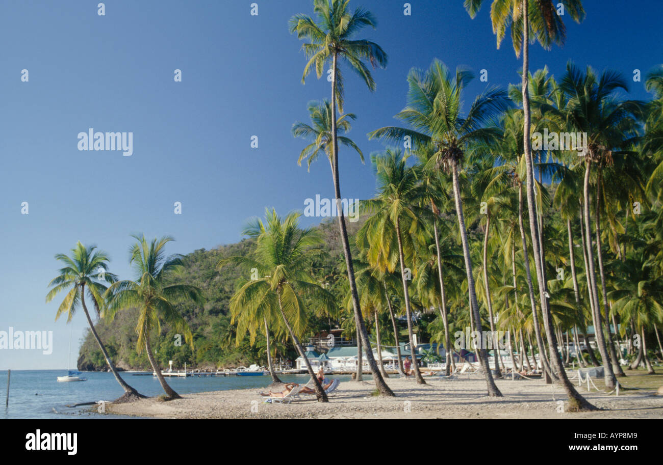 ST LUCIA Caribbean West Indies Windward Islands Lesser Antilles Marigot ...