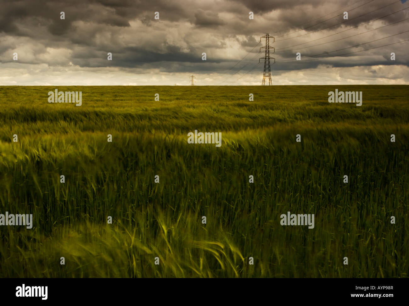 Windy day what to do on a windy day hi-res stock photography and images ...