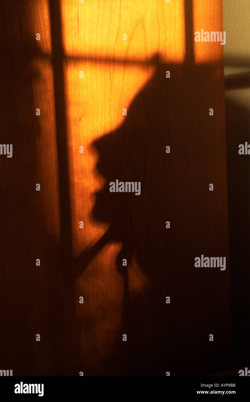 Shadow of a laughing girl Stock Photo - Alamy