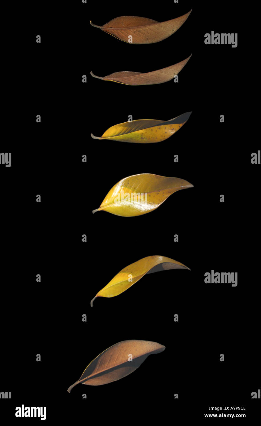 Animation technique hi-res stock photography and images - Alamy
