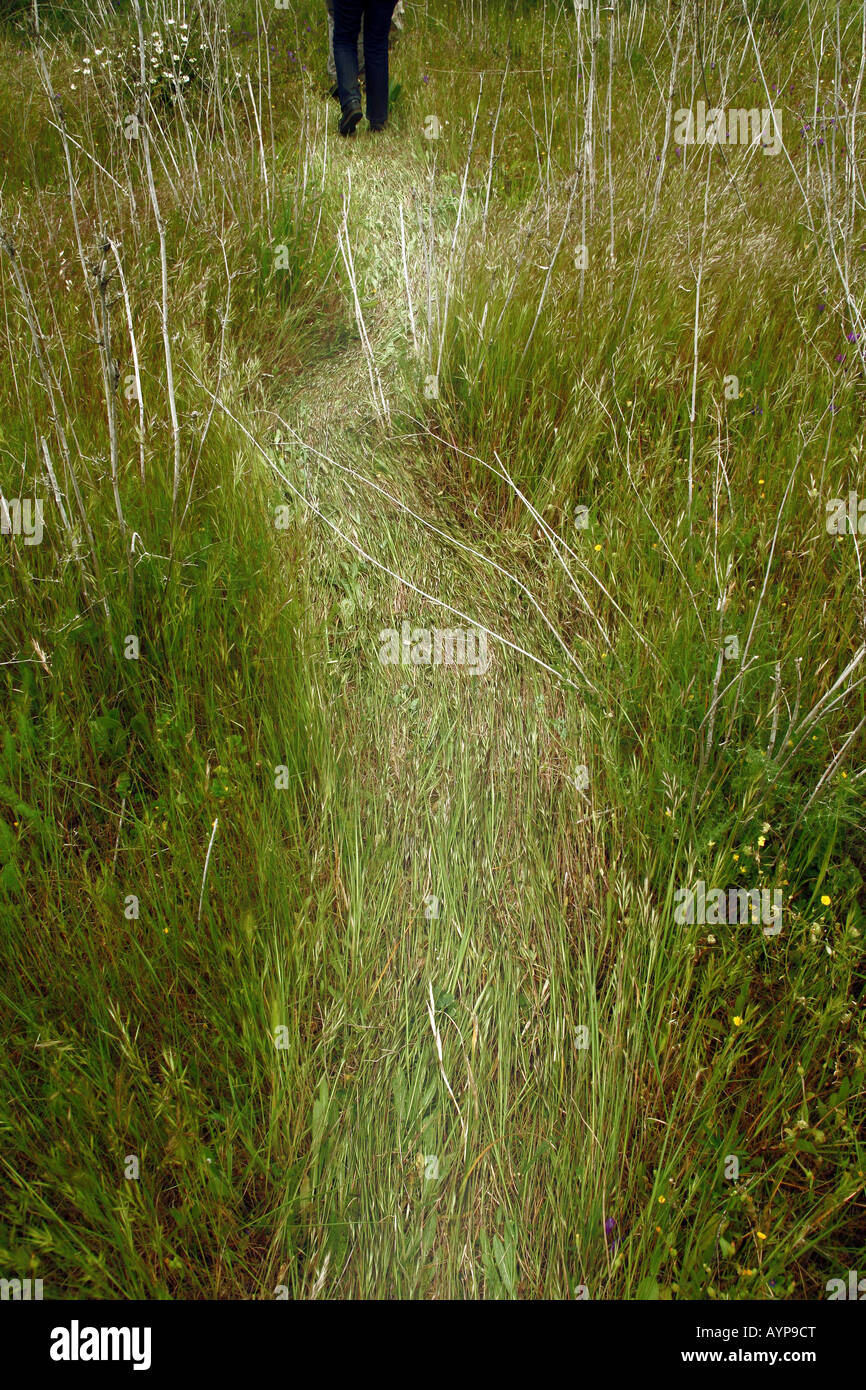 open feet path in the grass Stock Photo - Alamy