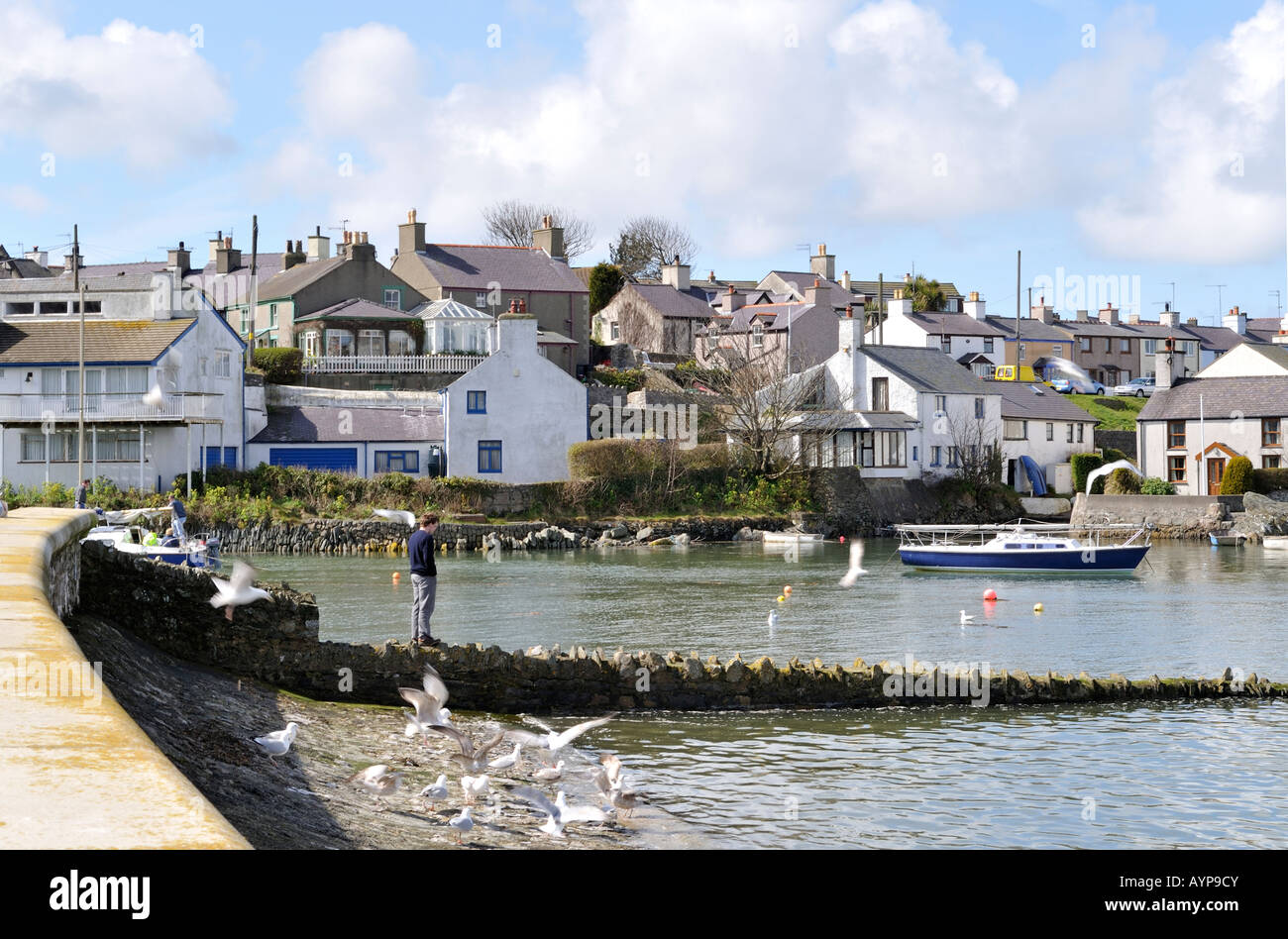Cemaes Bay Anglesey ONLY EDITORIAL USE Stock Photo - Alamy