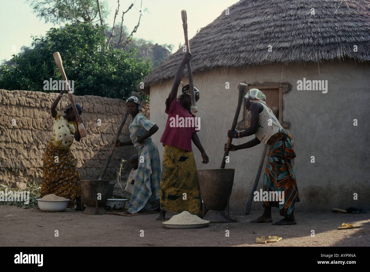 NIGERIA West Africa Food Preparation Work Women pounding grains or ...