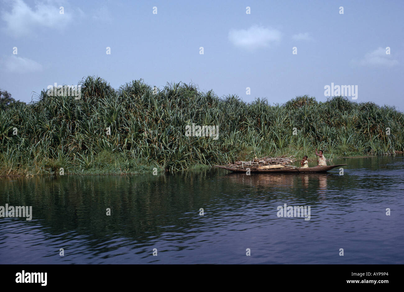 NIGERIA West Africa Sapele River Ethiope People Water Transport Woman ...