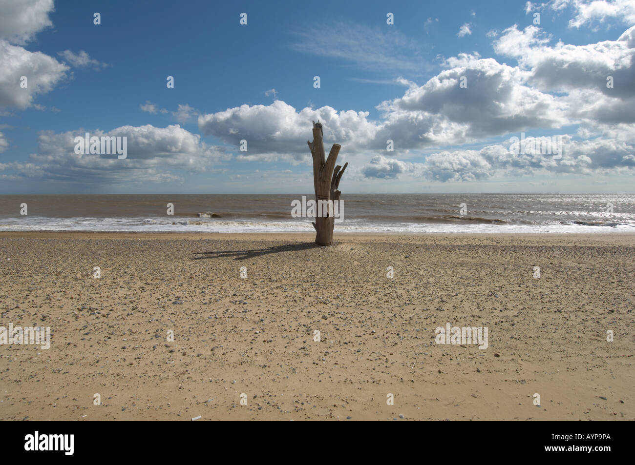 Beach at Covehithe, Suffolk, UK Stock Photo - Alamy