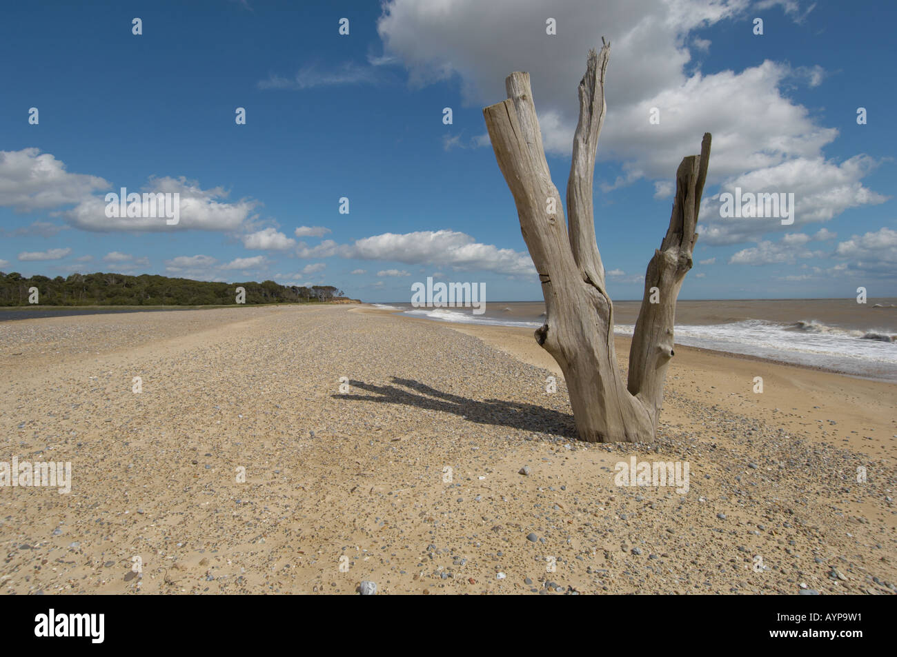 Covehithe Beach High Resolution Stock Photography and Images - Alamy