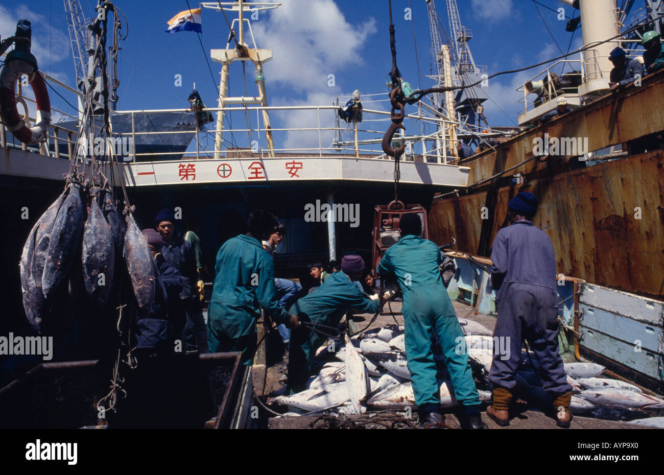 Transferring fish hi-res stock photography and images - Alamy