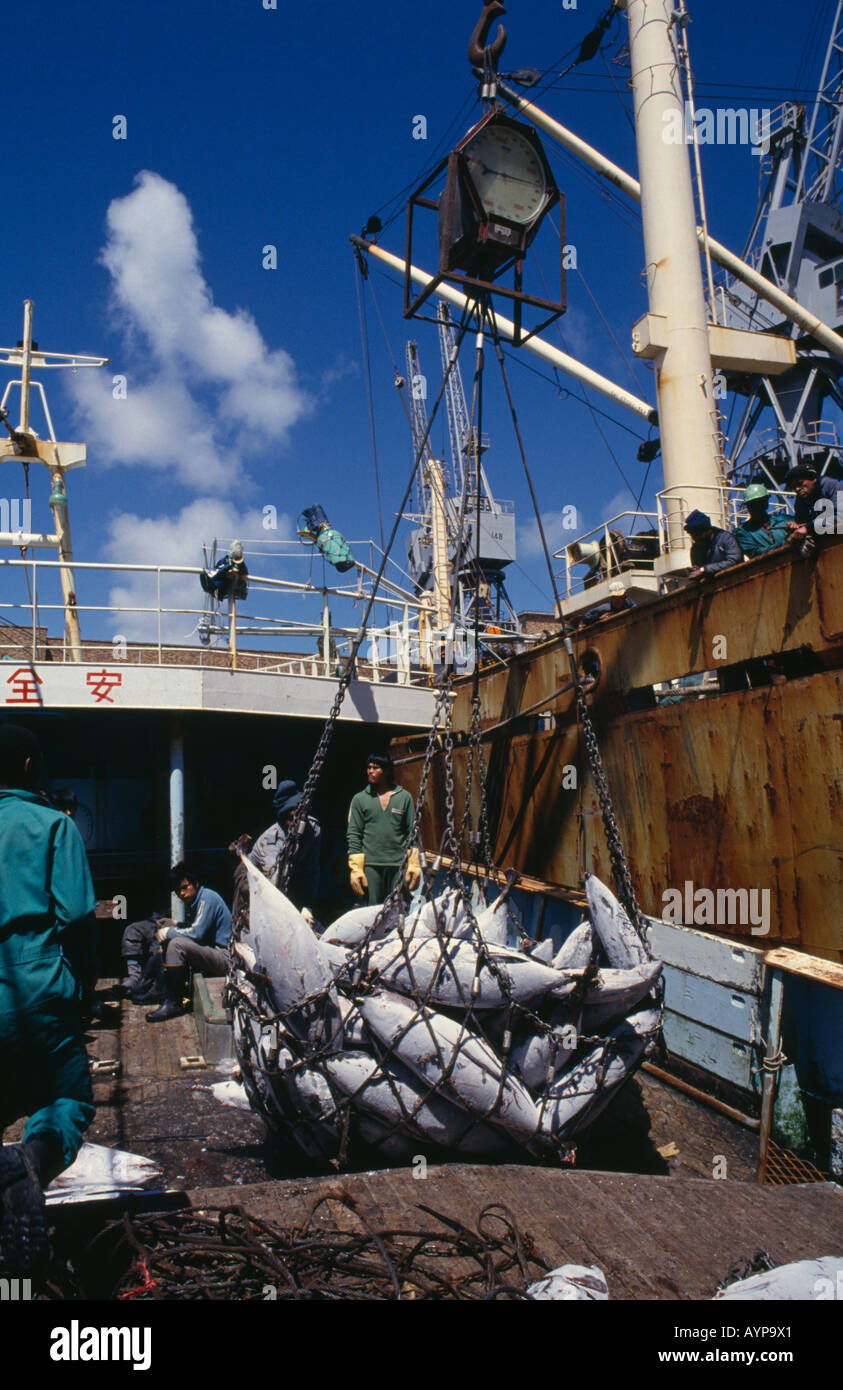 SOUTH AFRICA Western Cape Cape Town Transferring shipment of frozen ...