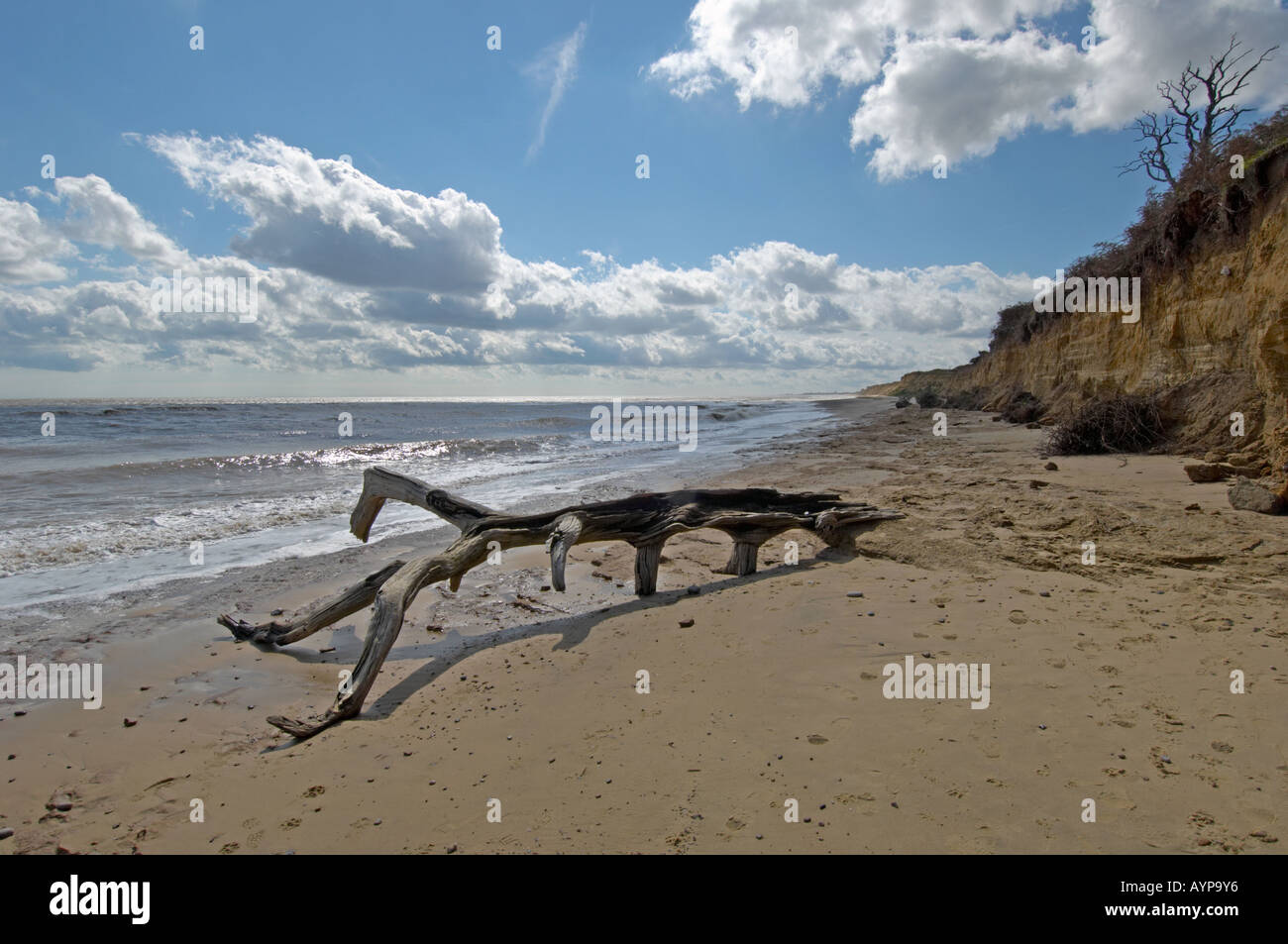 Beach at Covehithe, Suffolk, UK Stock Photo - Alamy