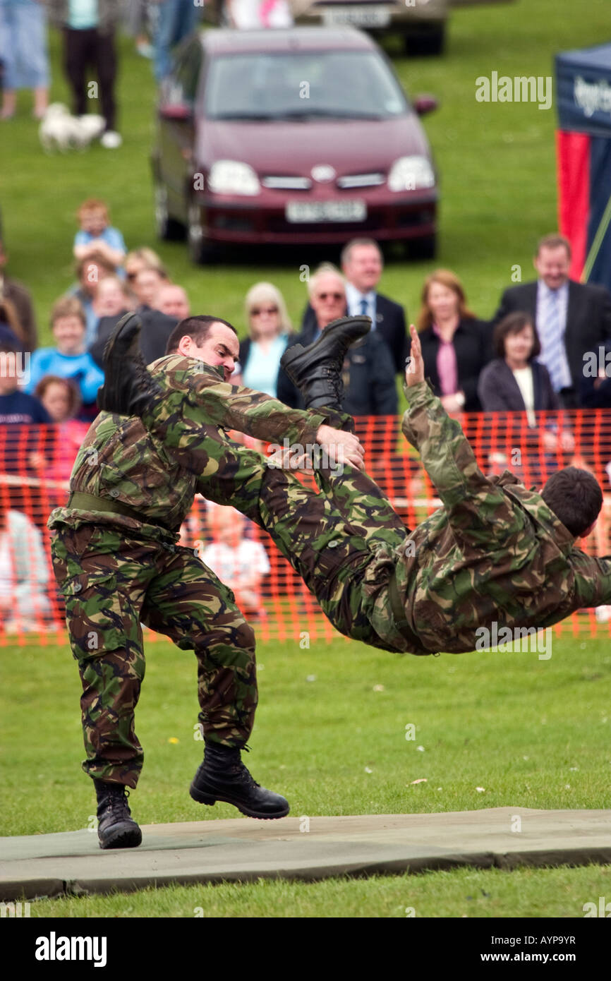 Royal marine commando camouflage hi-res stock photography and images - Alamy