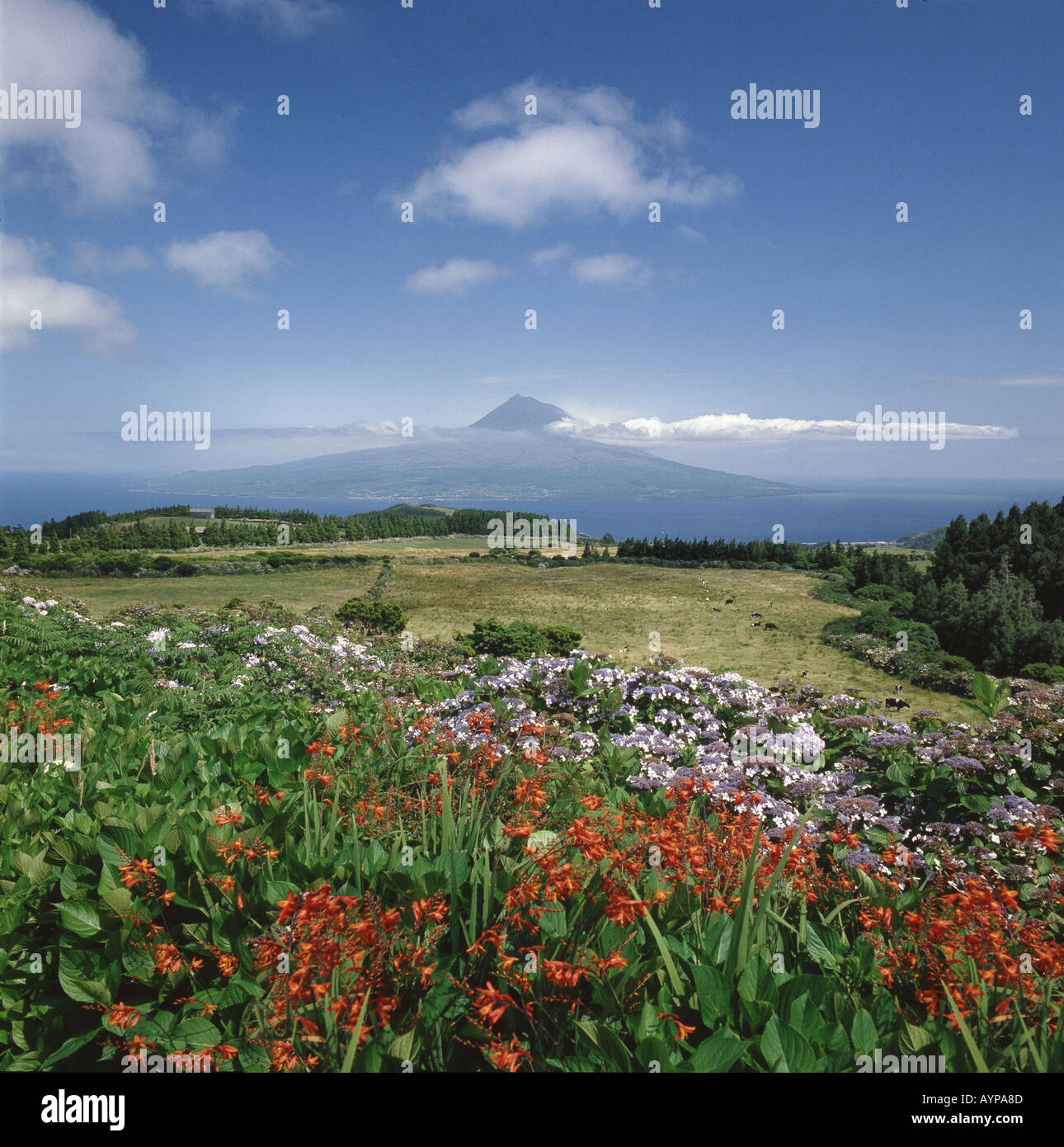 Portugal the Azores, Pico island seen from Horta island over fields and ...