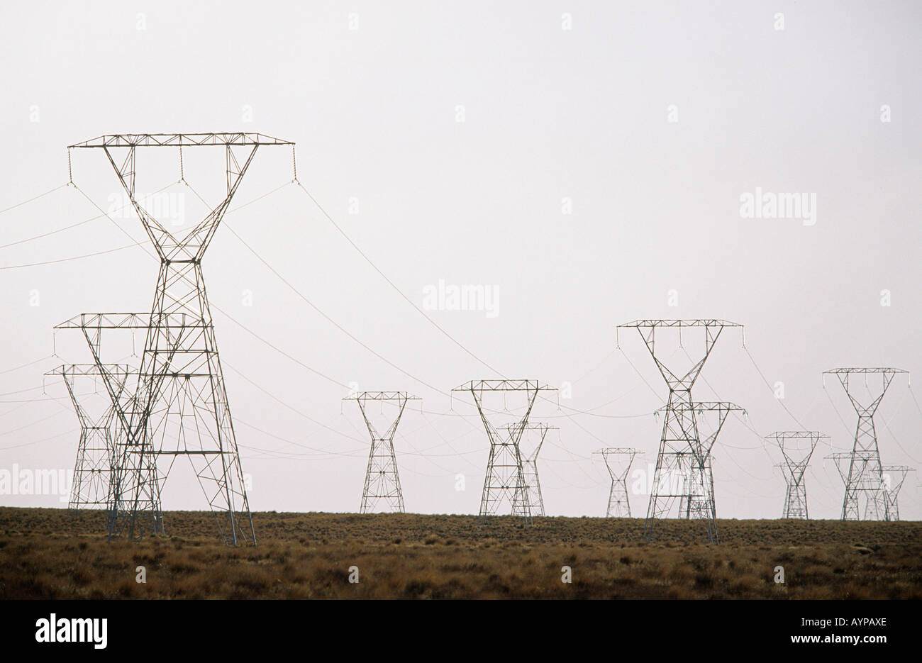 Power pylons desert road hi-res stock photography and images - Alamy