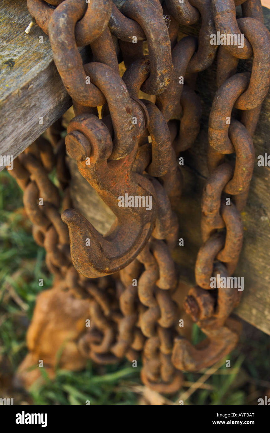 Old rusty chains and a rust colored dog Stock Photo - Alamy