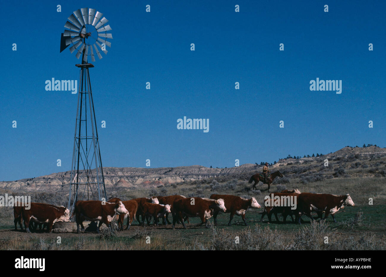Cowboy on windmill hi-res stock photography and images - Alamy