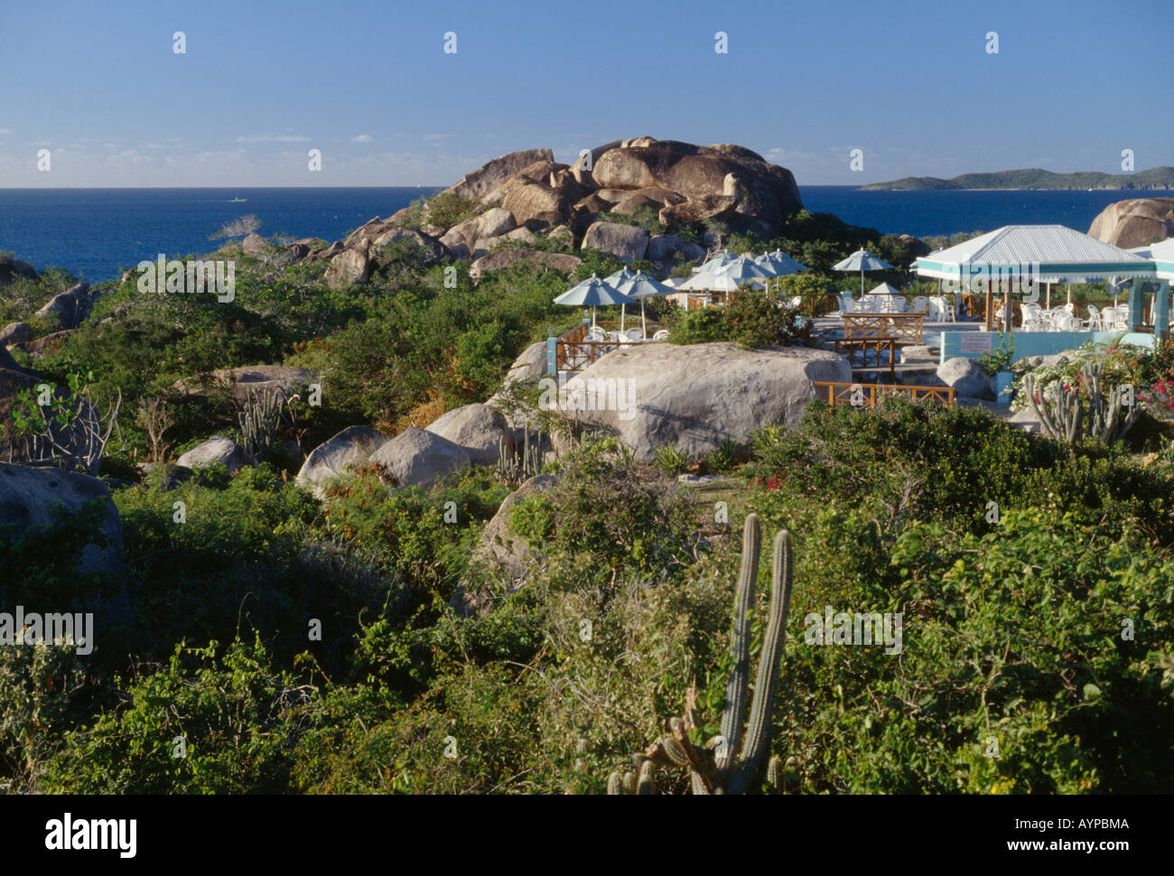 Bvi plants hi-res stock photography and images - Alamy