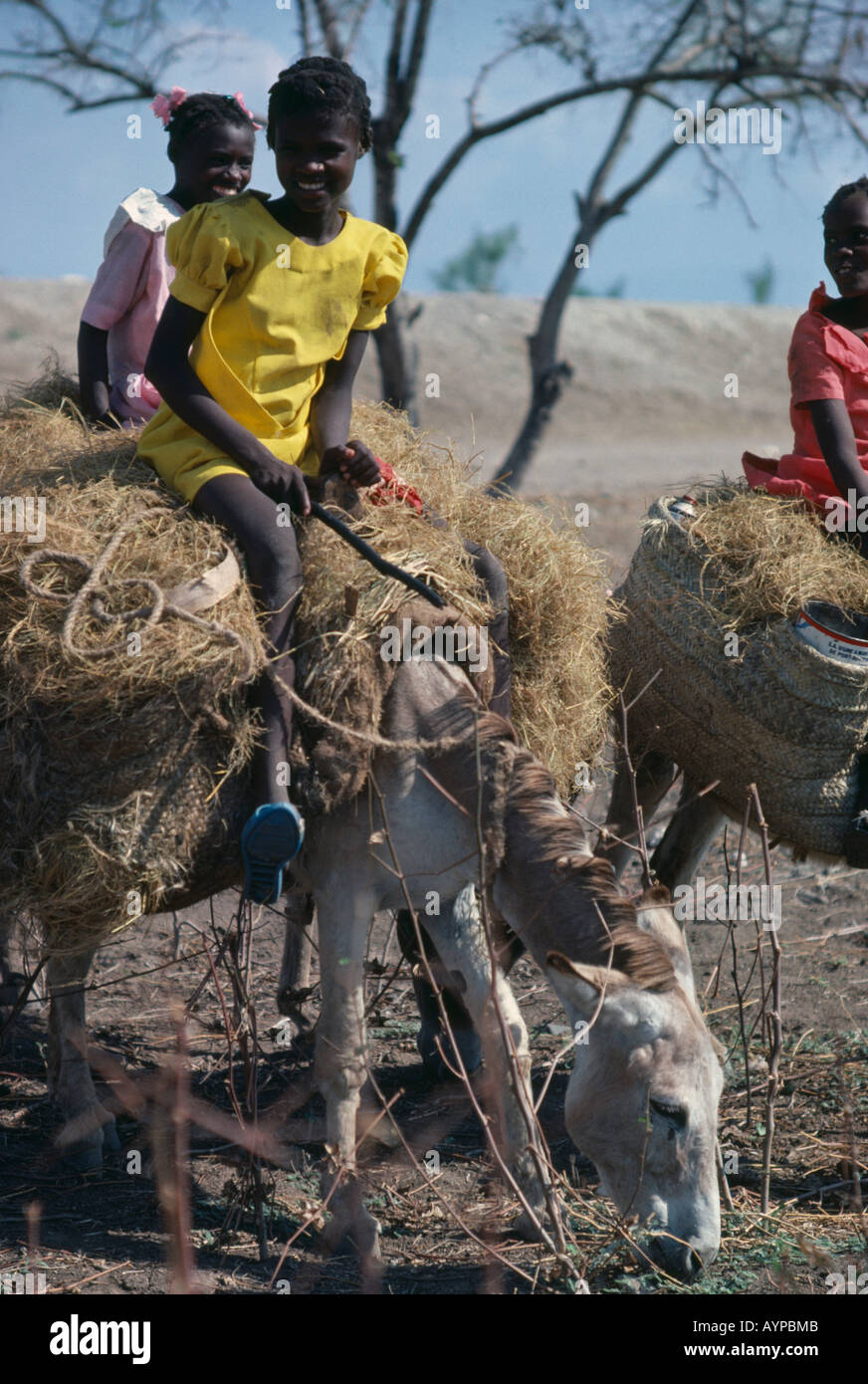 HAITI Caribbean West Indies People Children Girls riding donkeys ...